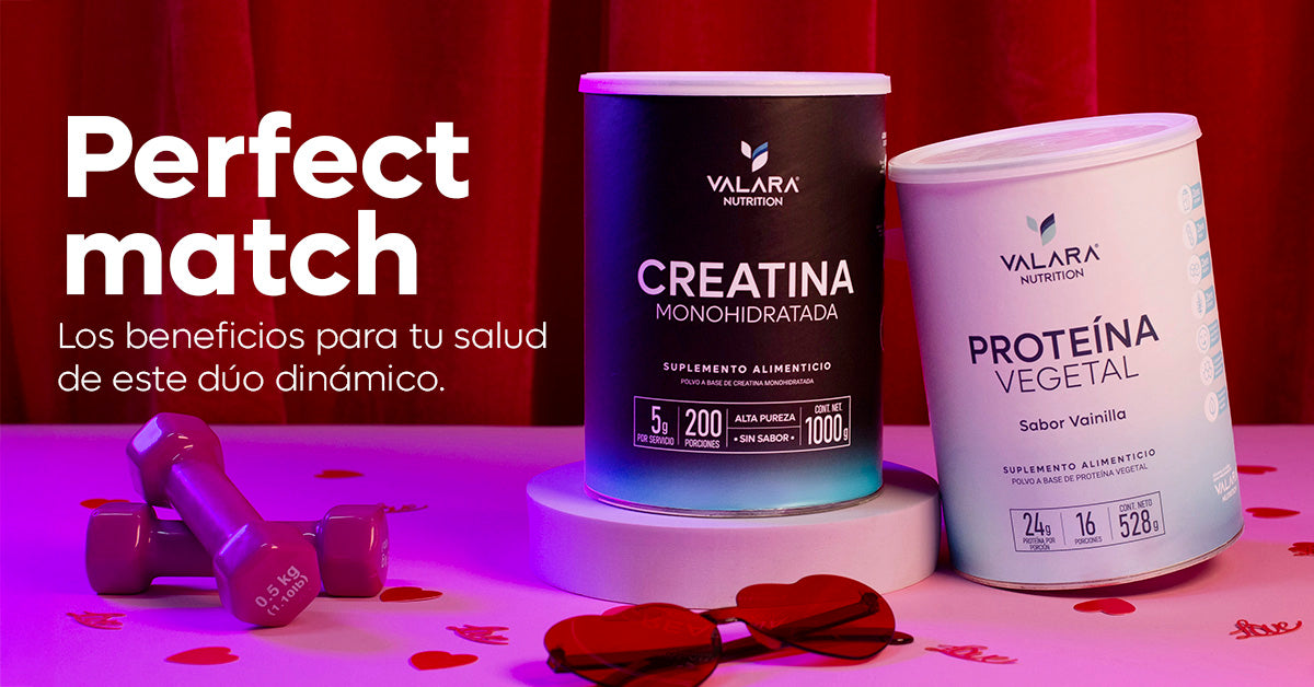 Creatina y Proteína en Polvo: Beneficios de Tomarlas Juntas para Poten ...